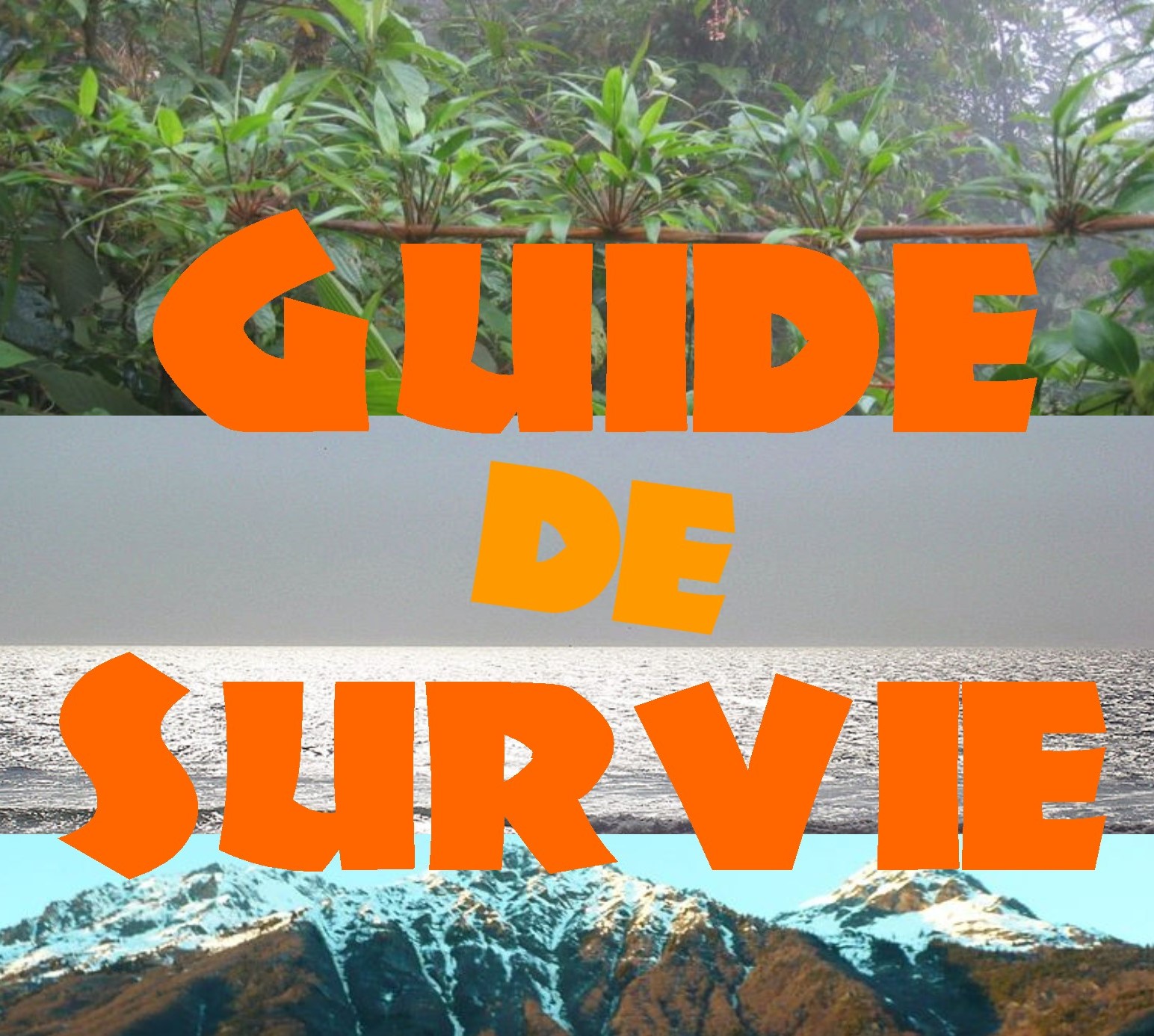 Le guide de survie pendant la quarantaine ! | Pagtour